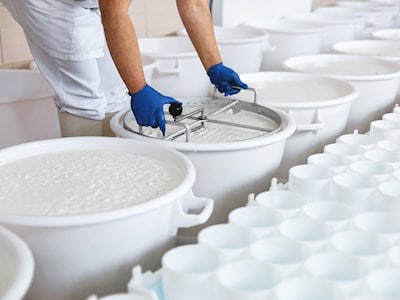 Dairy processes | Camfil