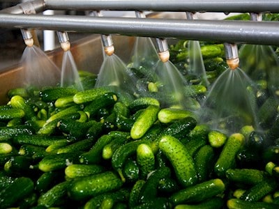 Why high efficiency air filtration is important for food safety | Camfil