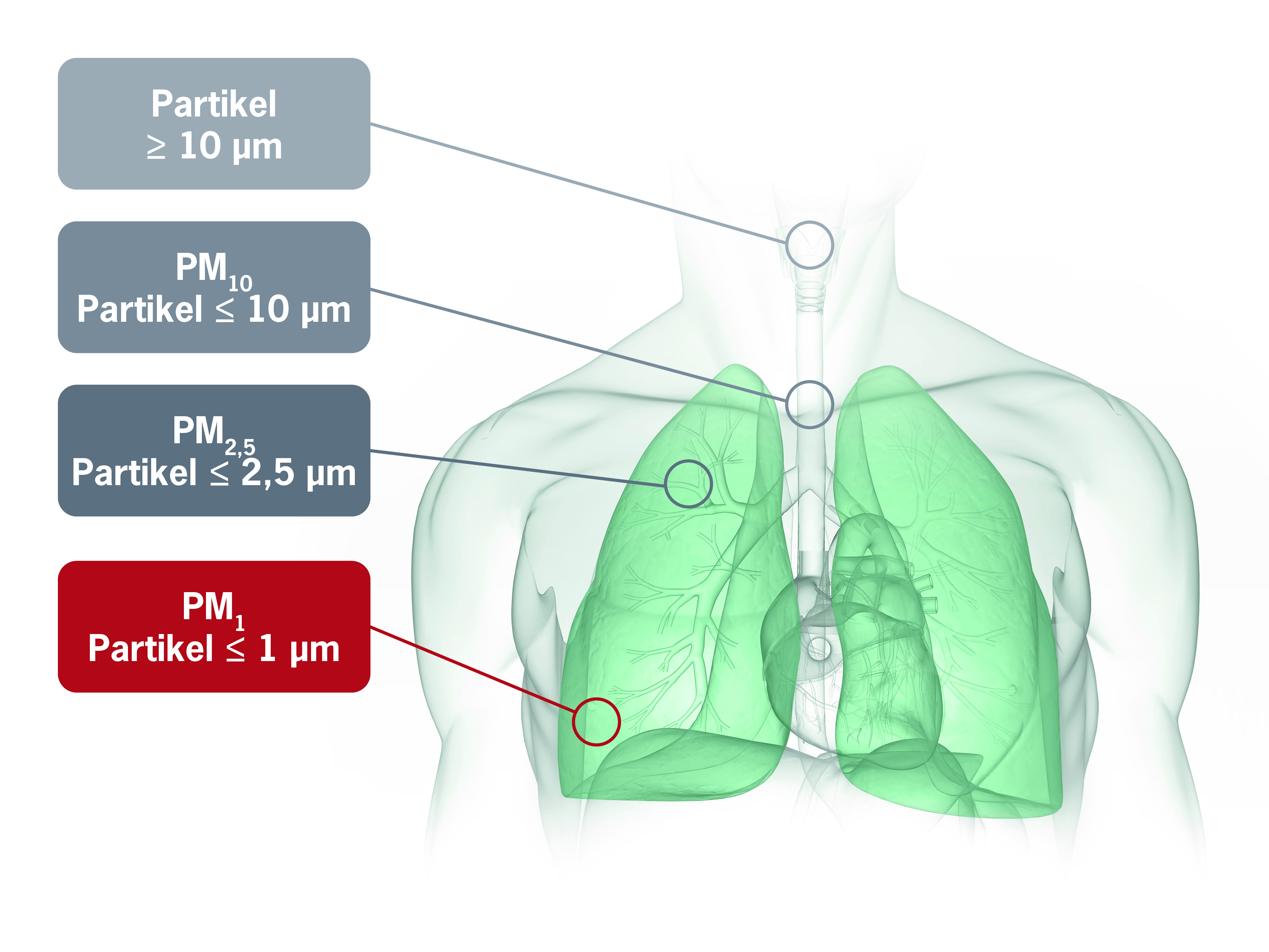 Wie kann Ihr Gebäude atmen? | Camfil