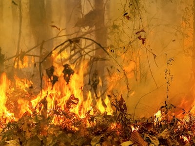 Bushfire Smoke Filter Solution Guide | Camfil